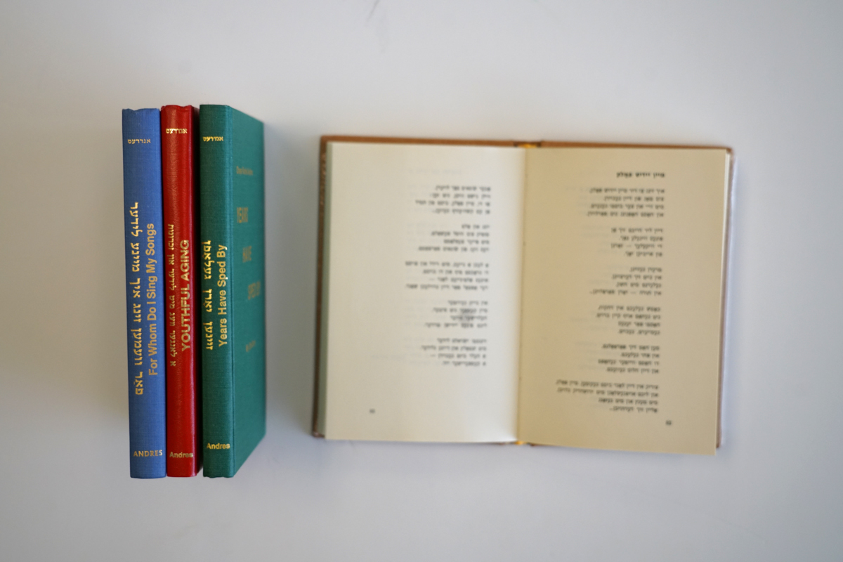 A Jewish Folk Poet in Texas: Chaya Rochel Andres and the Yiddish South ...